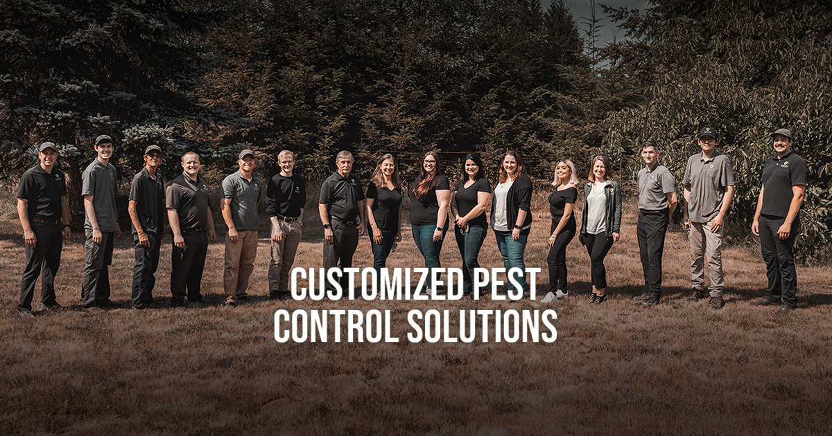 Same-Day Olympia Pest Control | Venables Pest Management