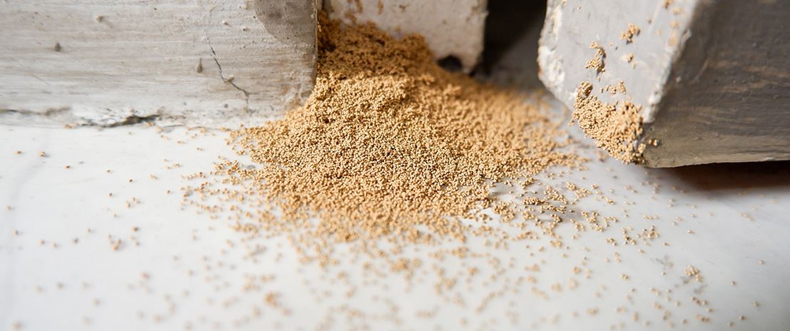 Signs of Termite Infestation: How to Detect Early Warning Signals